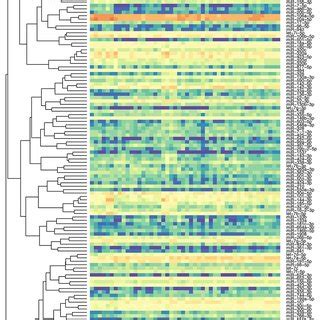 Unsupervised Hierarchical Clustering With Pearson Distance Metric