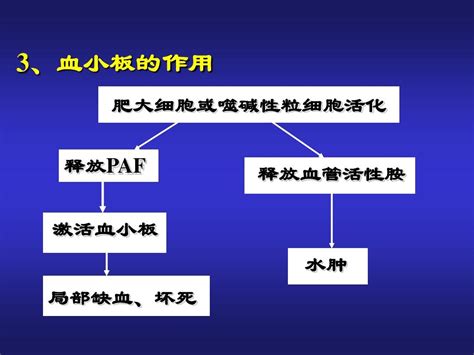 Iii Iv型超敏word文档在线阅读与下载免费文档