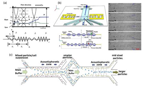 acoustic techniques for microfluidic particle sorting elveflow