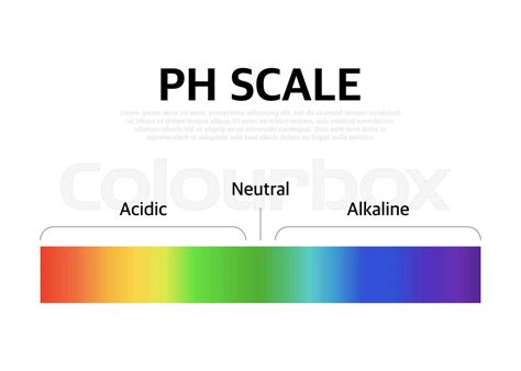 The Ph Scale Universal Indicator Ph Color Chart Diagram Vec Colourbox