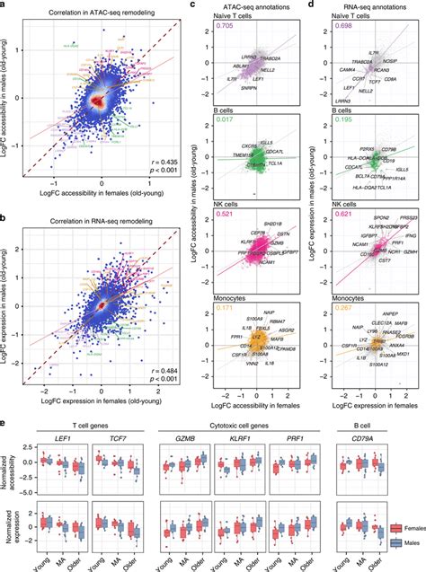 Sex Dimorphic Changes In Monocyte And B Cell Associated Download Scientific Diagram