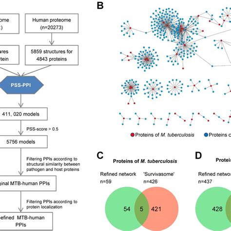 pathogen host ppi network of m tuberculosis a flow chart showing