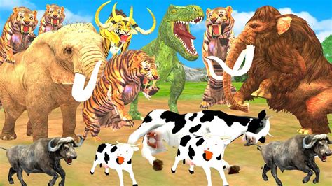 Tiger Bull Fight Giant Dinosaur Attack Cow Cartoon Buffalo Saved By