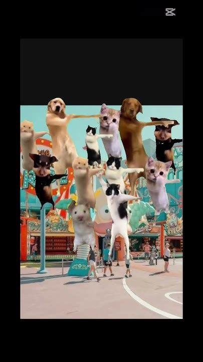 강아지 수수탬플릿 출처는 중국인이여서 못썻어요 Youtube