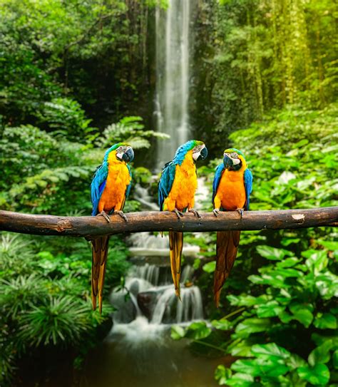 12 Fotos De Paisajes Naturales Que Tienes Que Ver Para Creer Fotos De