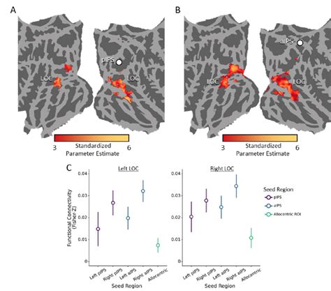 task based functional connectivity results a b functional