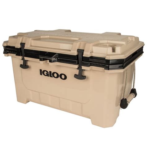 Igloo Imx 70 Qt Cooler Camping World