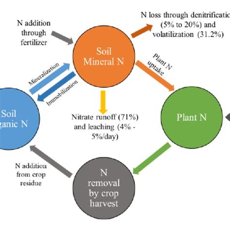 Schematic Diagram Of N Loss Strategies To Improve Nitrogen Use Efficiency Download Scientific