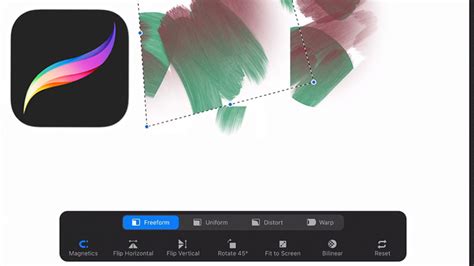 Proko Tools Procreate