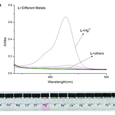 Pdf A Fluorescent And Colorimetric Chemosensor For Hg2 Based On Rhodamine 6g With A Two Step