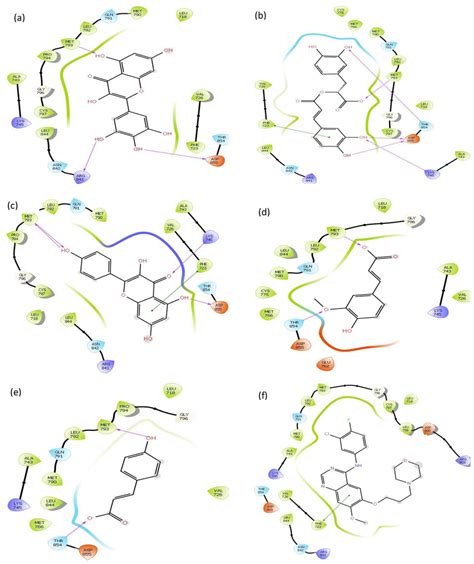2d Molecular Contacts Profiling Of Docked Compounds With Amino Acid