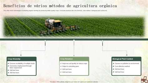 Modelos Essenciais De Agricultura Orgânica Com Exemplos E Amostras