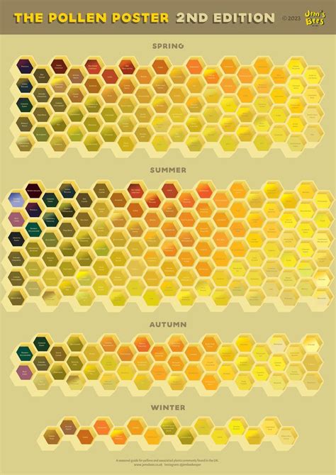 The Pollen Poster 2nd Edition Uk Pollen Identification By Jems Bees