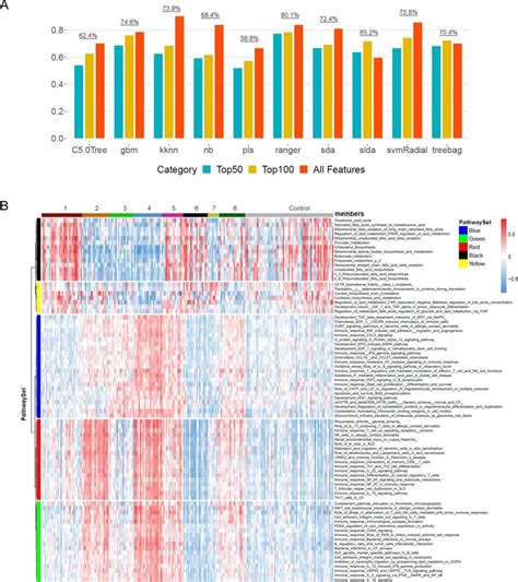 The Choice Of Best Supervised Machine Learning Algorithms To Classify