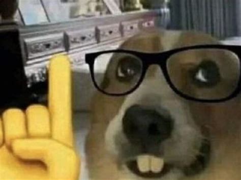 Tu Me Conhece Arrombado Luis Fernando Quizur