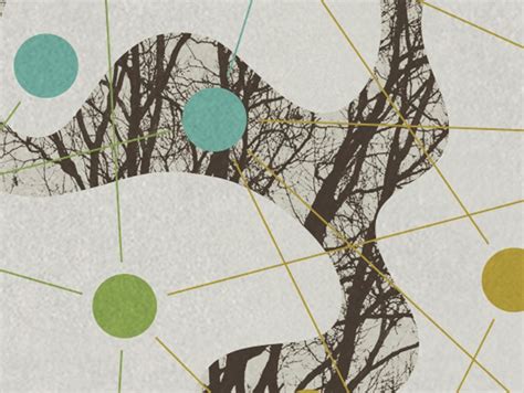 A Guide Examining The Evaluative Methodology Known As Process Tracing