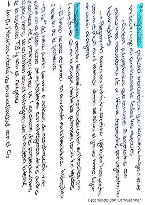 Definiciones Importantes Pdf
