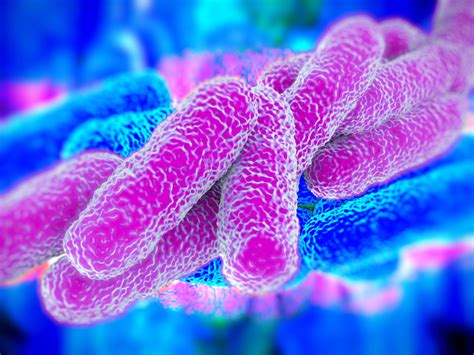 Legionella objawy zarażenia Jak się jej pozbyć