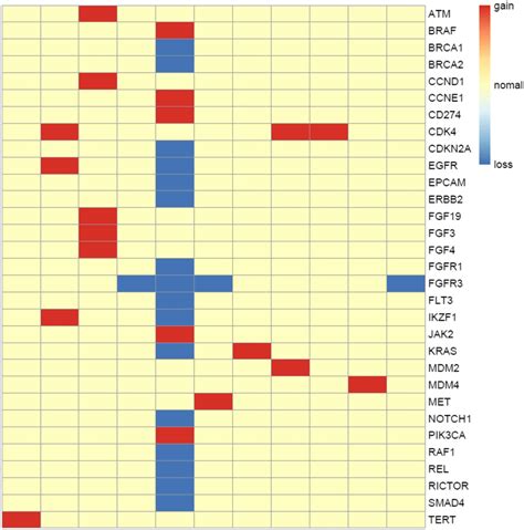 Copy Number Aberrations In 11 Ret Fusion Positive Nsclc Patients The Download Scientific