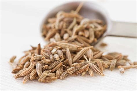 Cumin Vs Coriander Whats The Difference