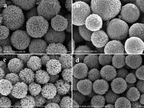 SEM Image Of The ZnO Samples Prepared Under Different Conditions With