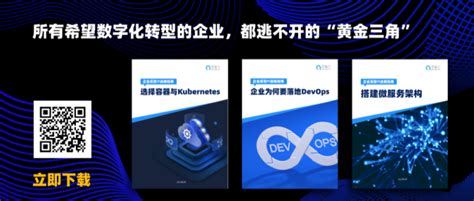 云计算 Ebook下载 《企业高管it战略指南——搭建微服务架构》 灵雀云 Segmentfault 思否