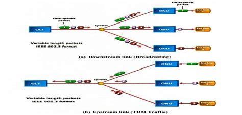 Tdm Pon Architecture Download Scientific Diagram