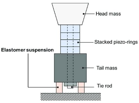 schematic representation of a rear mounted tonpilz projector 4 layer