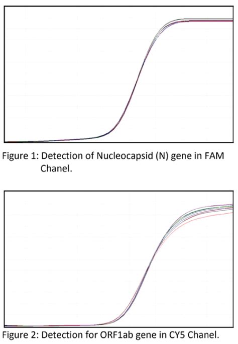 2019 Novel Coronavirus Covid 19 Multigene Real Time Pcr Kit Systaaq
