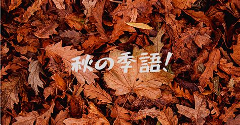 【秋の季語】秋の風 セクト・ポクリット