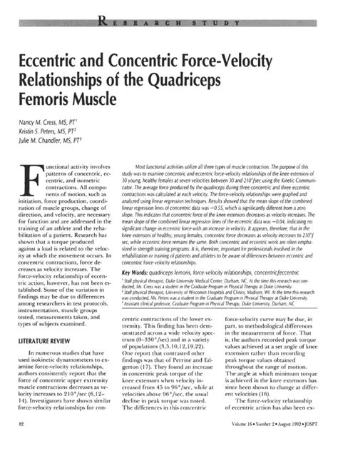 eccentric and concentric force velocity relationships of the quadriceps