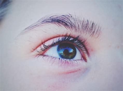 Premium Photo Cropped Image Of Person Eye