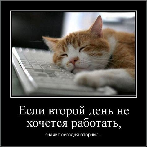 Прикольная картинка с надписями про вторник Вторник Работа юмор