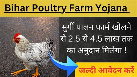 Bihar Poultry Farm Yojana 2023 45 लाख का अनुदान मिलेगा आवेदन