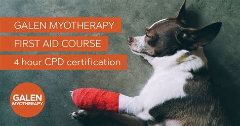 Canine First Aid Course Galen Myotherapy