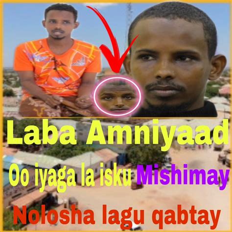 Amniyaad As Oo Iyaga Is Qiyaamaayo} Shekadii Sirdoonka Reer Galbeedbka