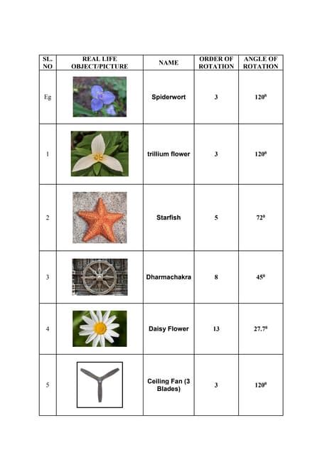 Class 7 Math Activity Rotational Symmetry Examples Docx