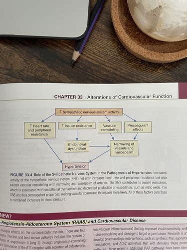 Cardiovascular Flashcards Quizlet