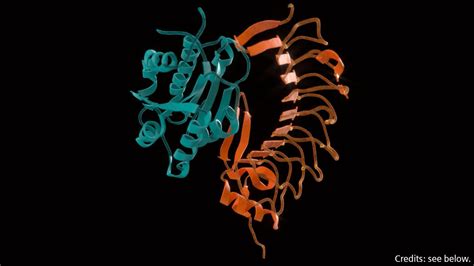 Von Willebrand Disease Siemens Healthineers