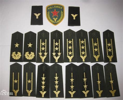 Pla Reserve Forces