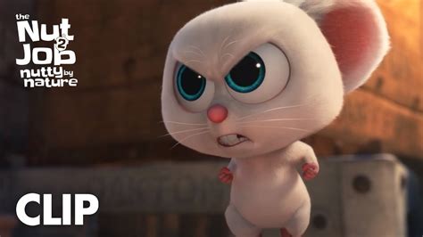 The Nut Job 2 Nutty By Nature My Name Is Mr Feng Clip Global