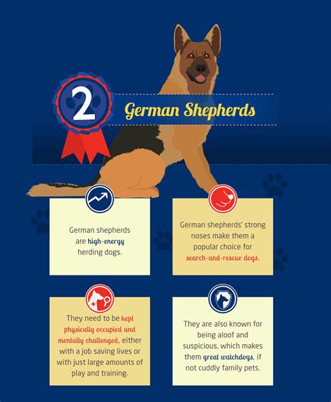 Top 10 Dog Breeds In The Us And Why We Love Them Top 10 Dog Breeds