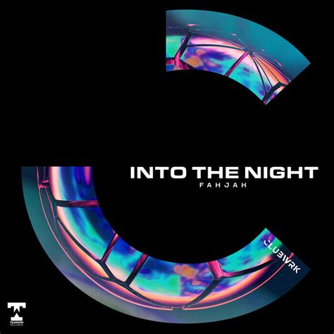 Into The Night Extended Mix By Fahjah On Mp3 Wav Flac Aiff And Alac
