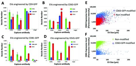 Effects Of The Engineering Scaffolds On The Expression Of Ev Surface
