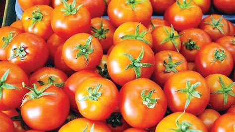 టమట ఎట ర Tomato at Rs