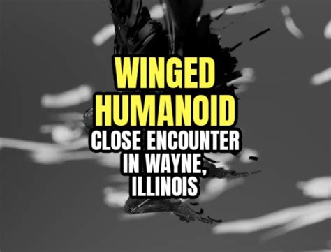 Phantoms And Monsters Real Cryptid Encounter Reports Fortean