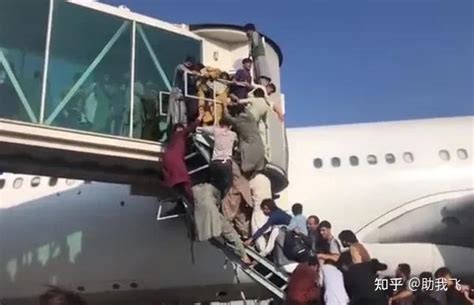 阿富汗一夜变天 喀布尔机场乱作一团：民众爬到机顶 几百人追着军机 知乎