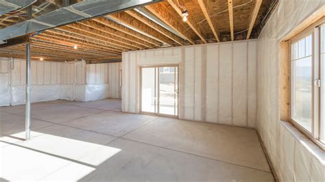 Unfinished Basement