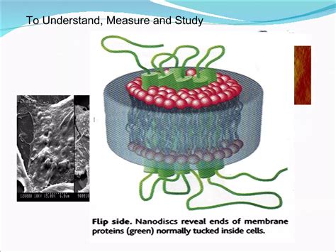 Nanotechnology And Biotechnology Ppt Chemistry Science