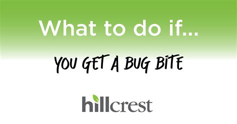 What To Do If You Get A Bug Bite Hospital Leaders In Oklahoma Hillcrest Healthcare System